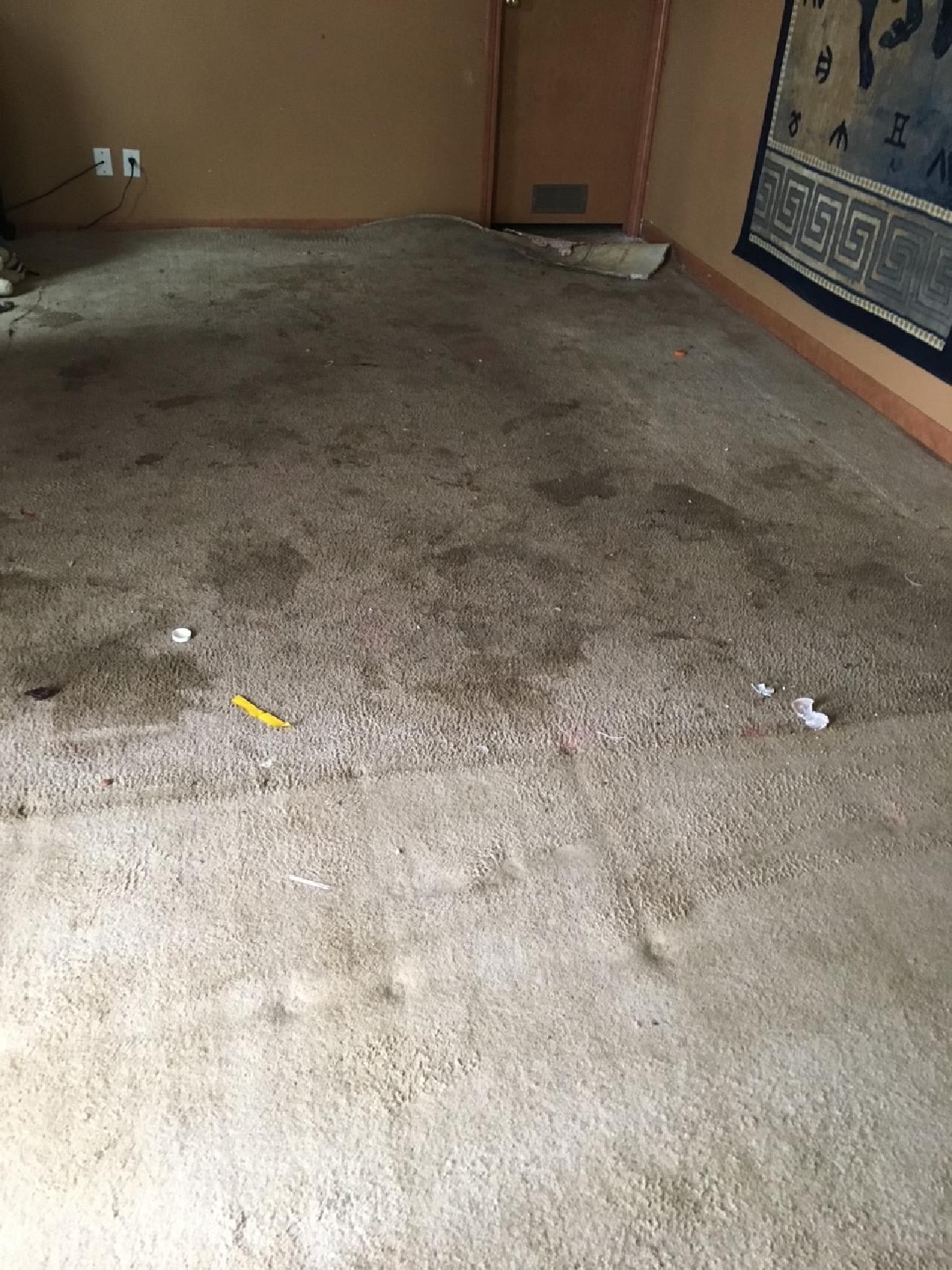 Flooring Gallery • C&L CONTRACTORS